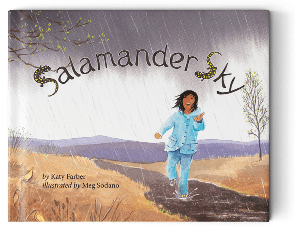Salamander Sky - McSea Books