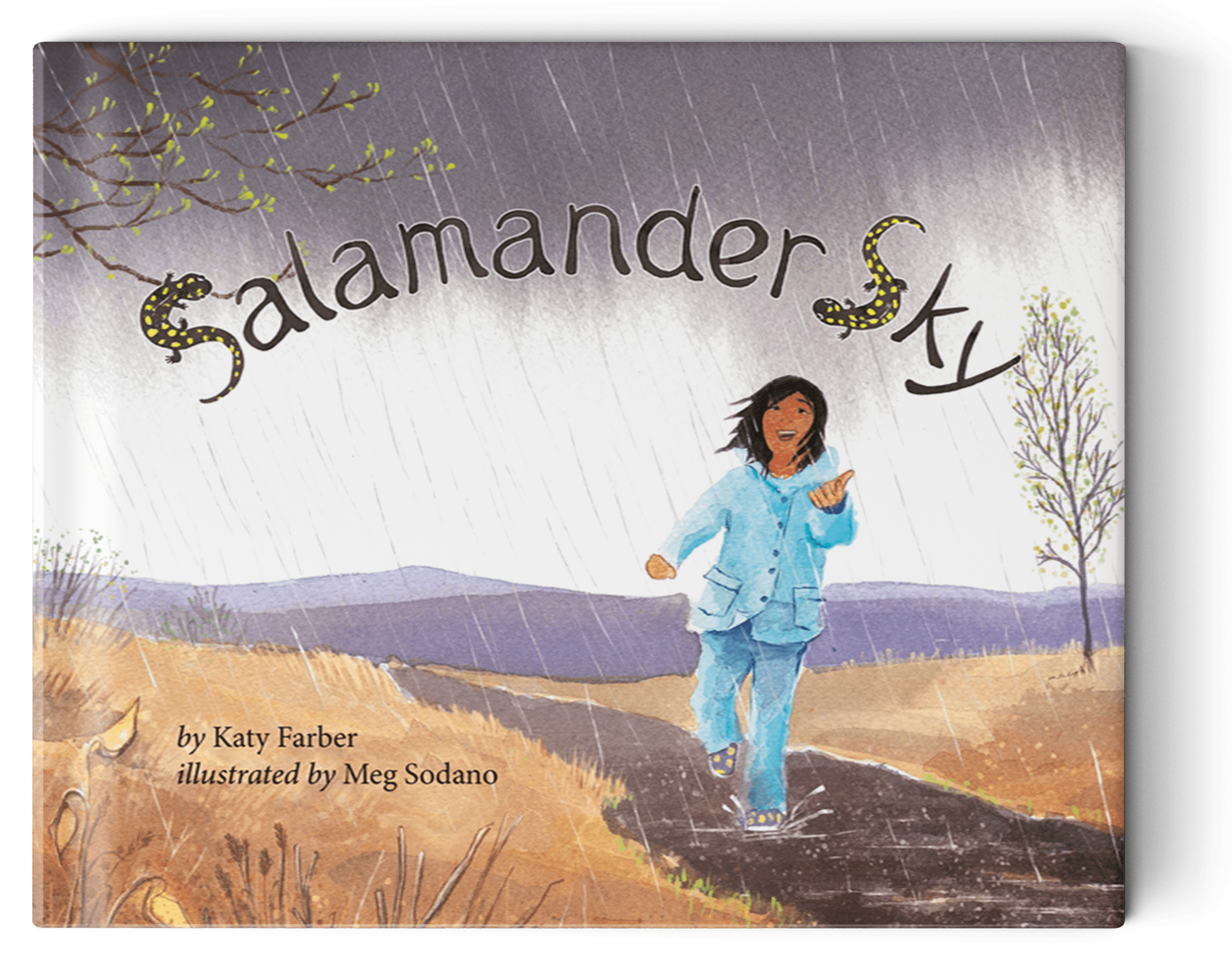 Salamander Sky McSea Books